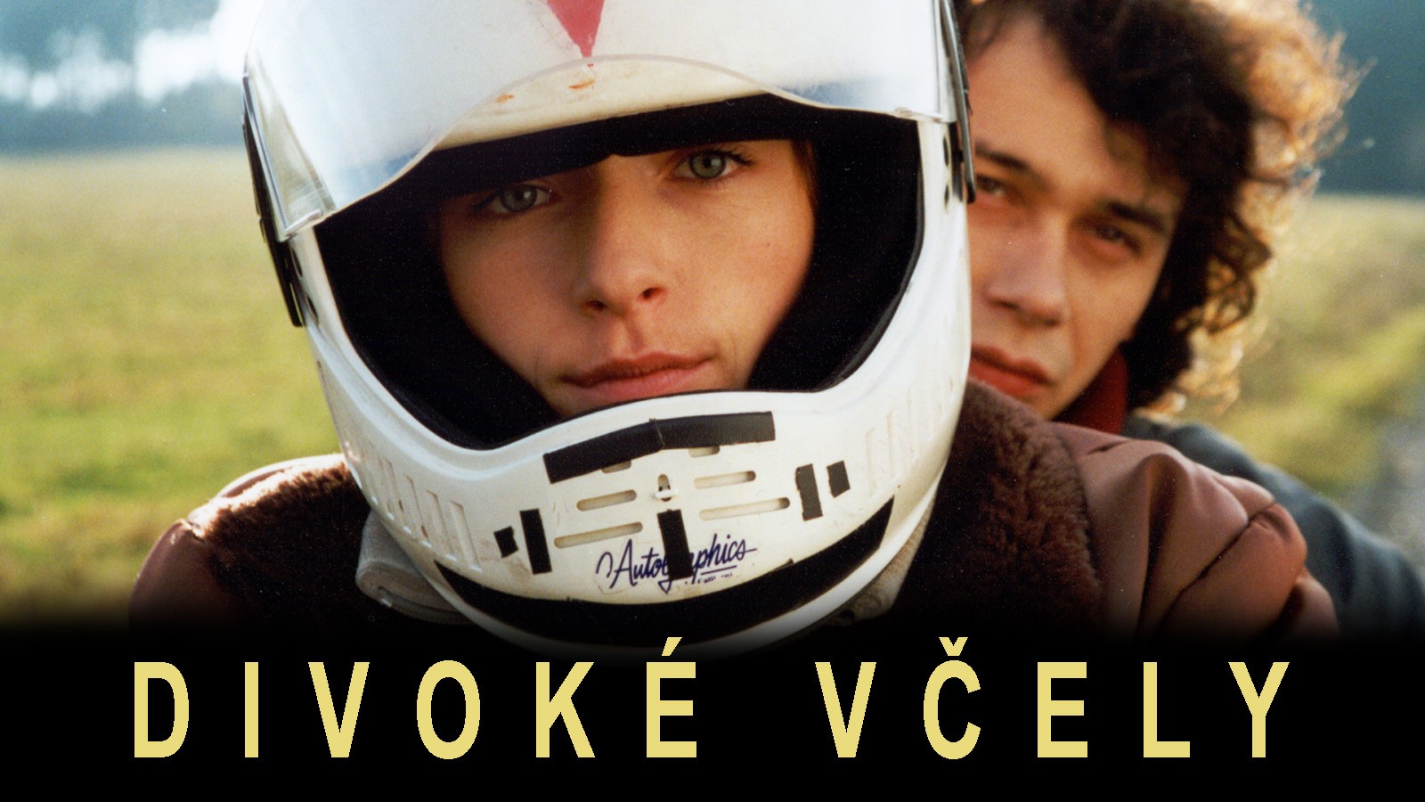 Divoké včely | České Kino - Všechny české filmy na jednom místě